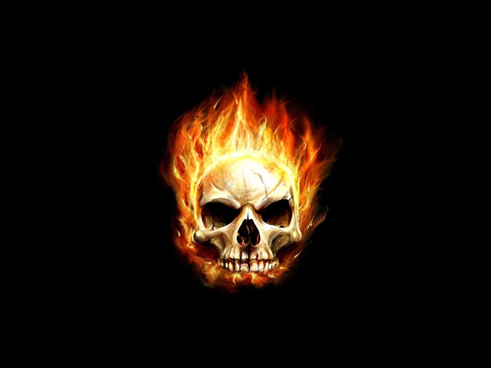 Skull HD Wallpapers - Wallpapers