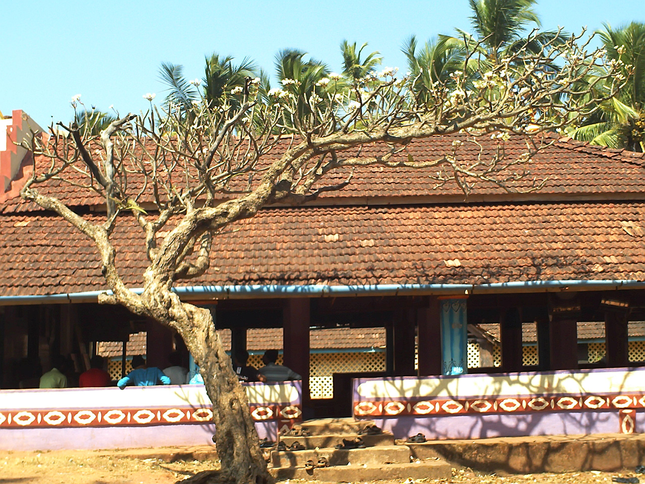 Konkan : God lives here...: DEVBAG BEACH...... 'DEVBAG SANGAM'.....