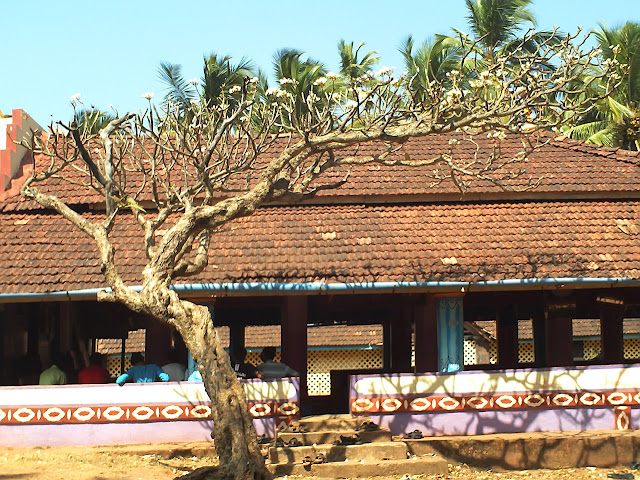 Konkan : God lives here...: DEVBAG BEACH...... 'DEVBAG SANGAM'.....