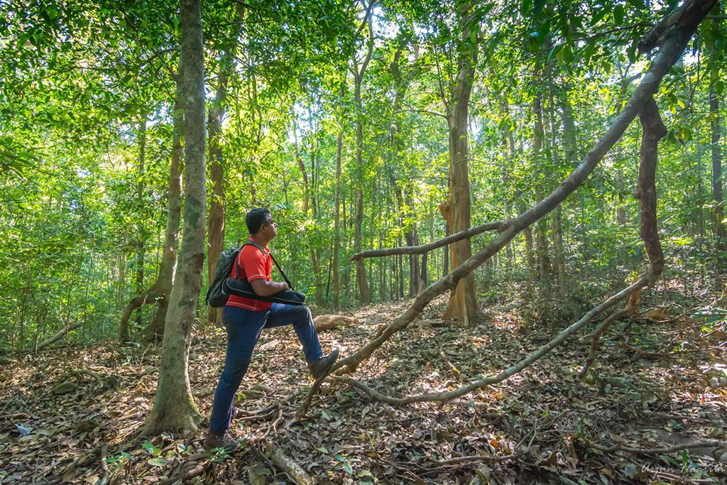 Arjun Haarith: Rhapsody in Silver : Belligundi Waterfalls