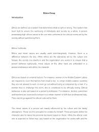 essay examples: ethics essay