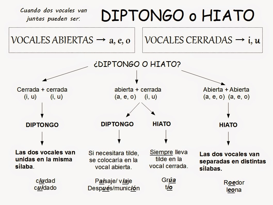 La estantería de clase: Repaso diptongos Hiatos.