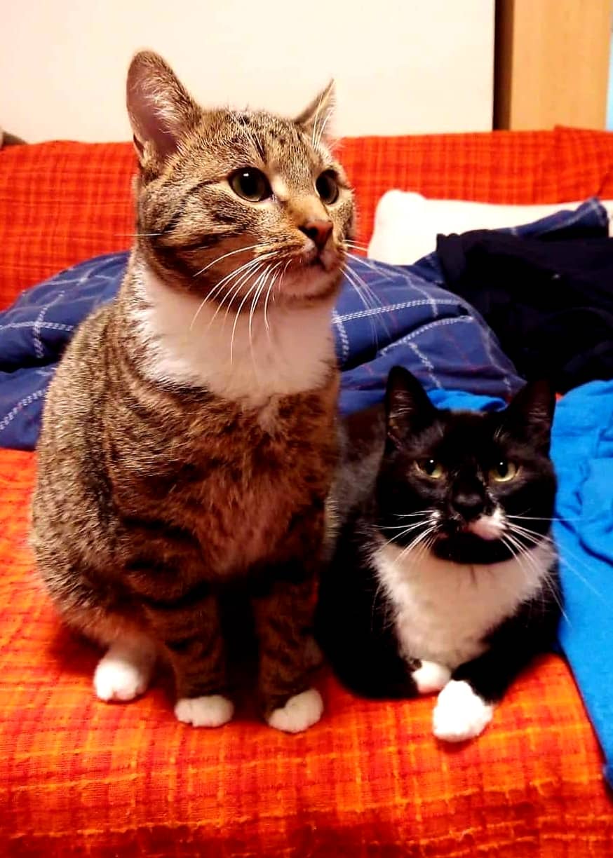 Heiksi blogi: "Murakas ei pea enam iial kartma, et ta bussijaama kappi ...