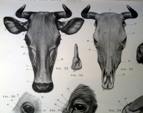 Donald Jurney: Questions and Answers