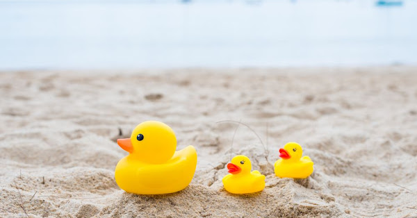 How Rubber Ducks Are Helping Scientists Chart The Oceans | Amusing Planet