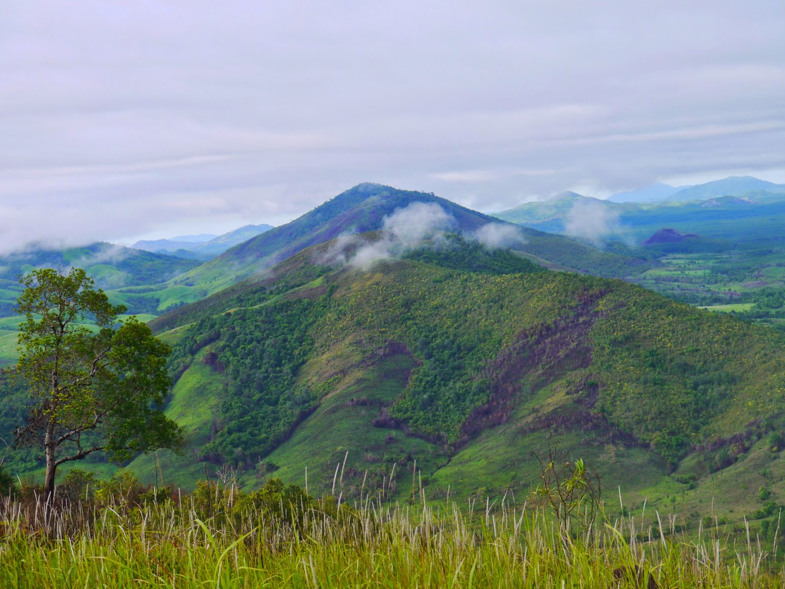 Pamaton, Bukit Bersejarah Nan Sarat Mistis | TALAPAK BATIS URANG BANUA