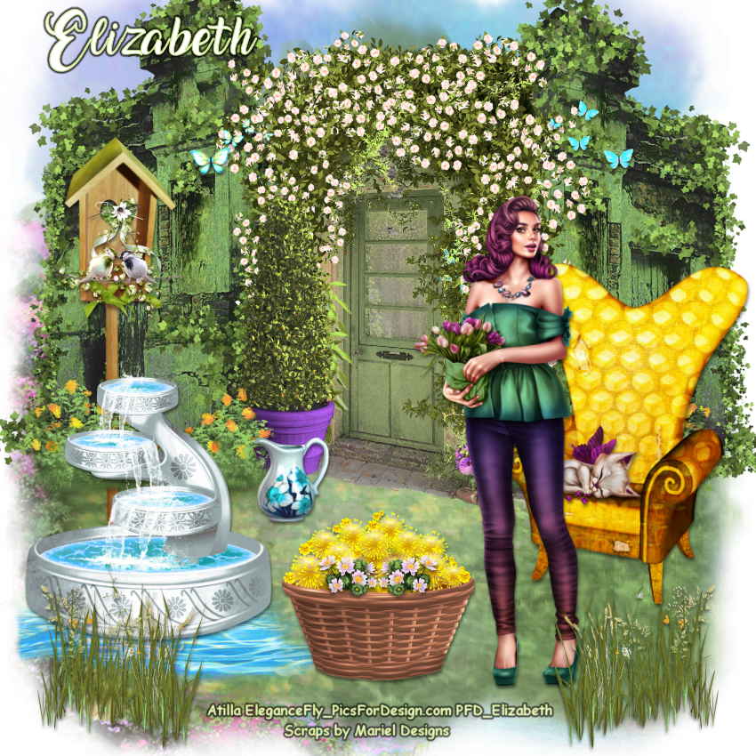 Elizabeth Design: 2021