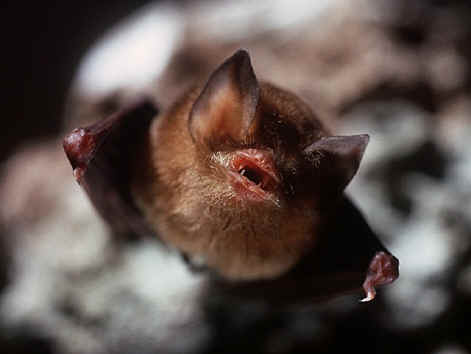 From The Valley To The Palais