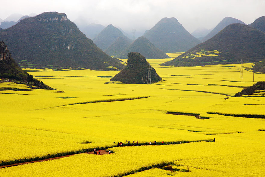 Canola Flower Fields, China | 20 Unbelievably beautiful places.