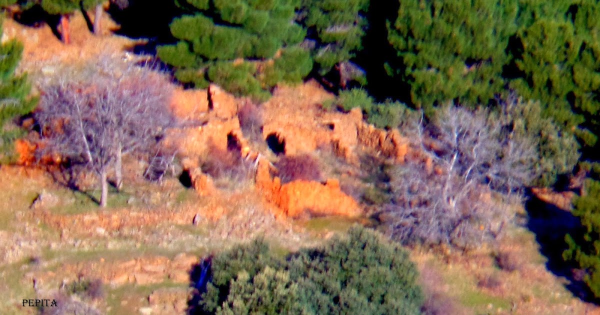 Fotografiando Cumbres: Salida: La lobosa