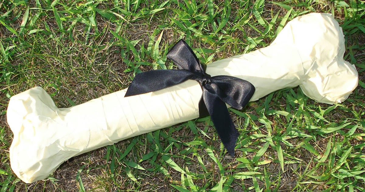 How to make a dog bone gift container - RKO Ideas Galore by Karen