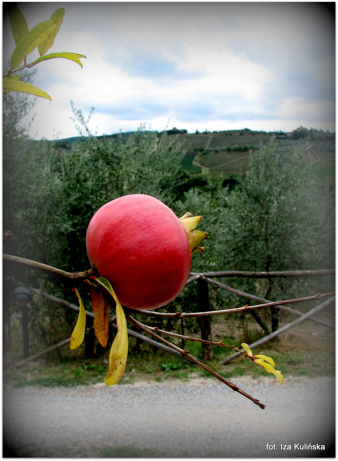 Jak obrać owoc granatu? | Smaczna Pyza