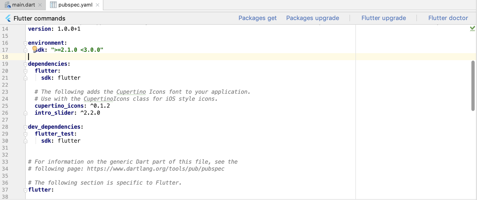 How to add slider in flutter | All In One Experts