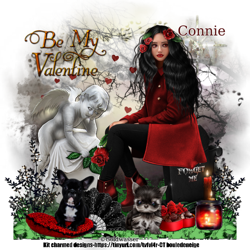 BOULEDENEIGE ET SES CT: CHARMED DESIGNS