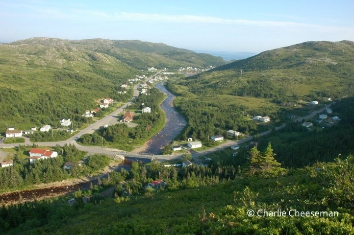Around the Harbour: A Snapshot of Rushoon, Newfoundland