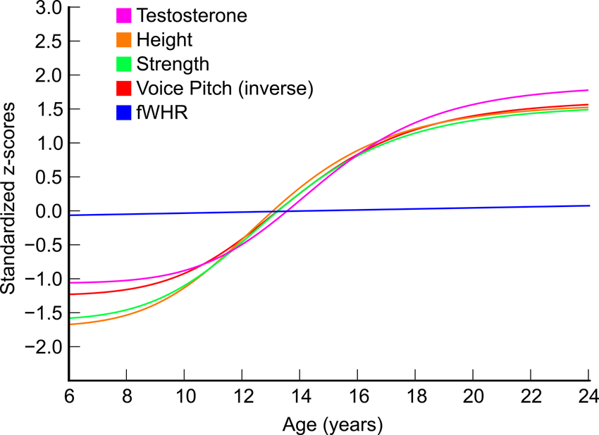 FWHR: тестостерон налицо и на лице