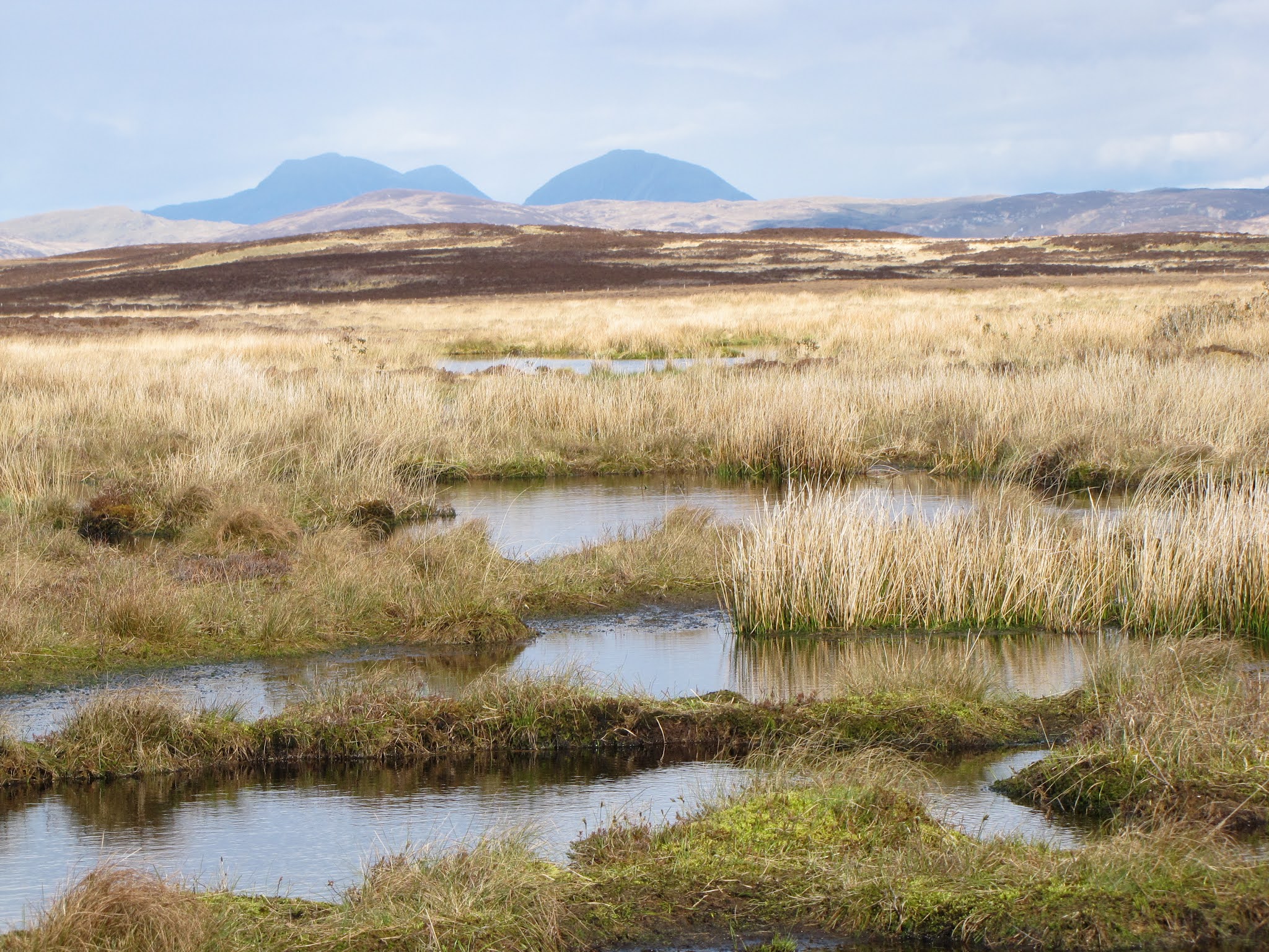 Islay Natural History Trust