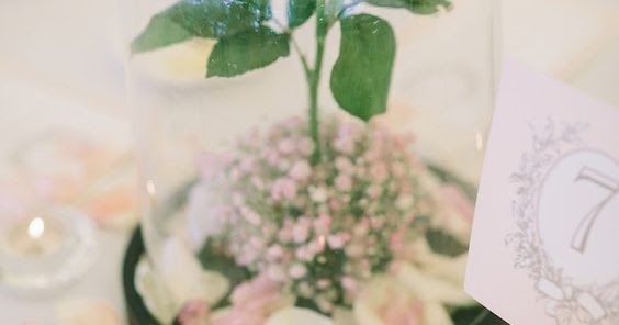 The Bell Jar: Function Meets Aesthetic