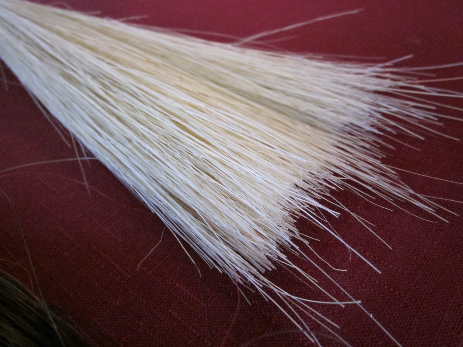 Chile Con Karen: Crin, Horsehair