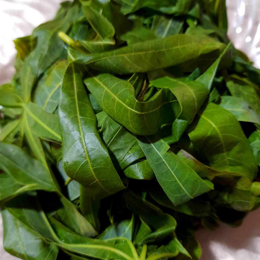 Masak Lemak Pucuk Geti | Detik Detik Indah Dalam Hidupku