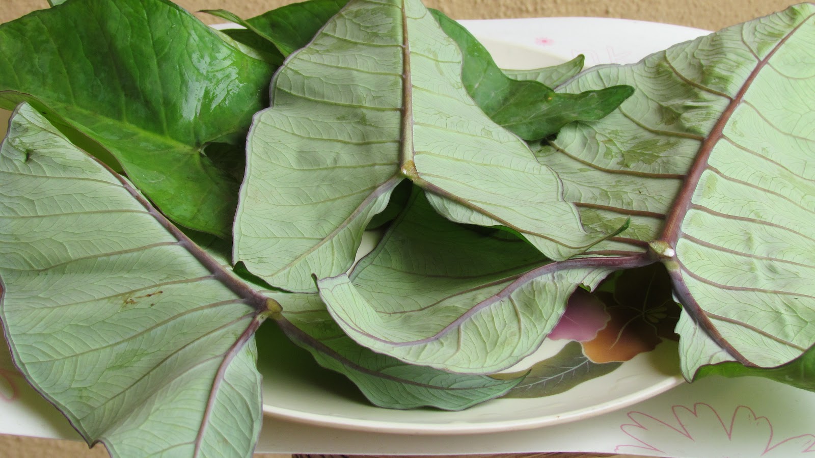 With Love from Mom's Kitchen: Patode/ Arbi ke Patte ki Vadi/ Taro Leaf ...