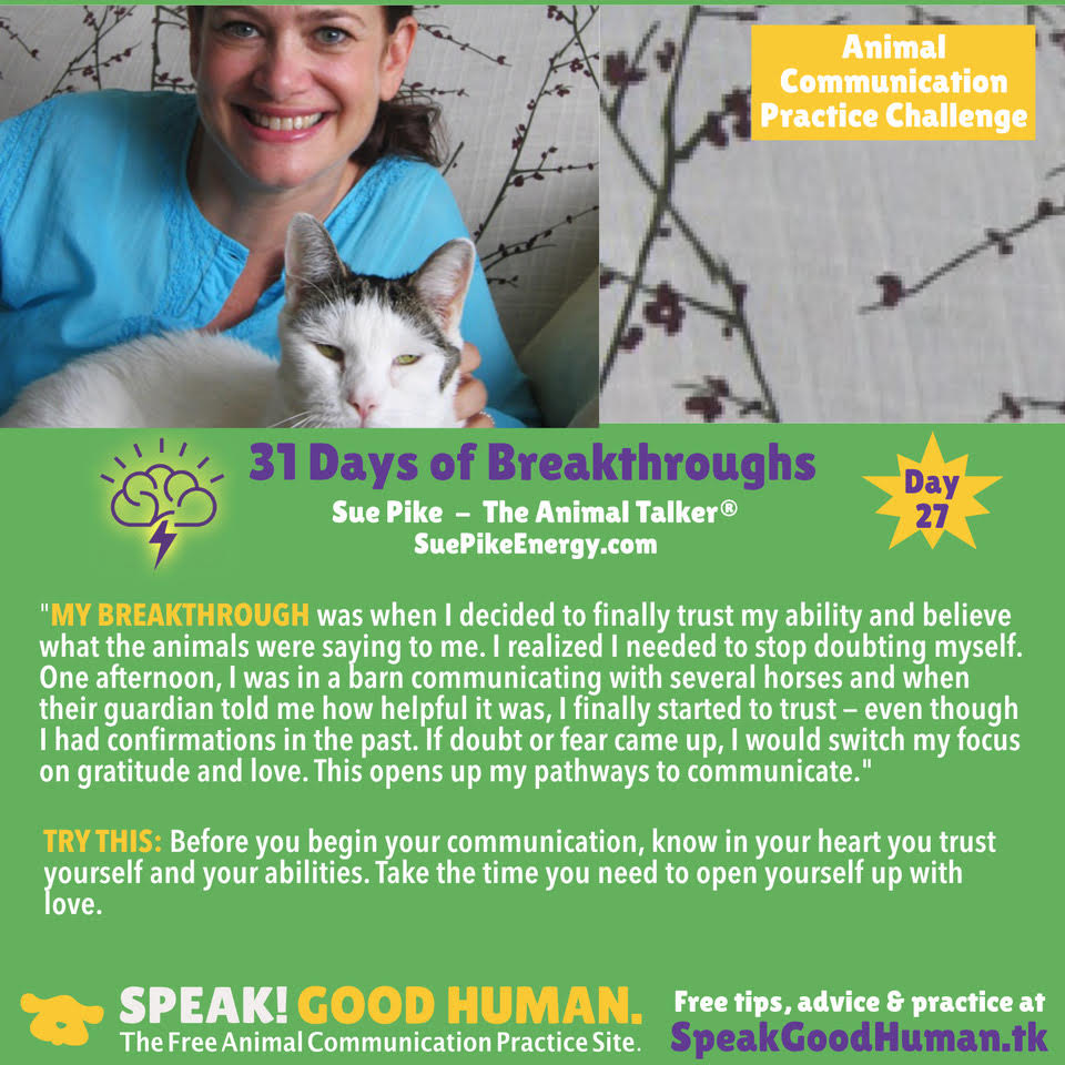 Animal Channeler: August 2020