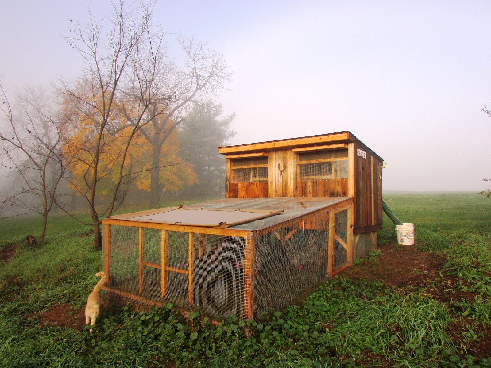 The American Haggard Housewife: About Our Life