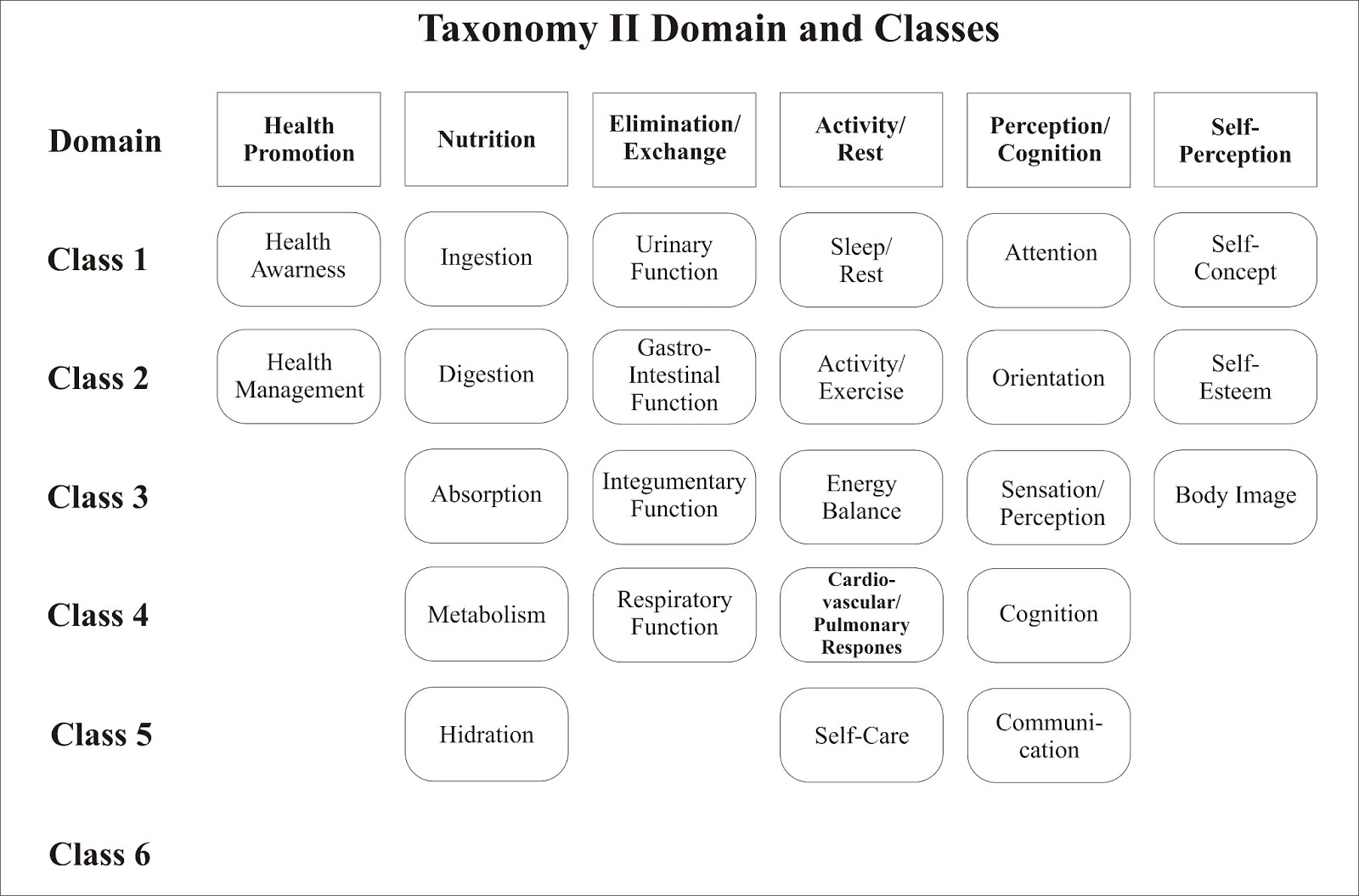Taxonomy II : Domain dan Kelas ~ Medica Chemistry
