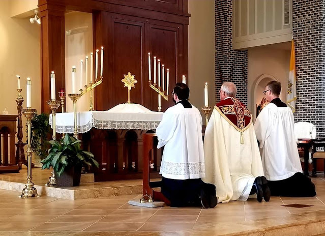 southern orders: DID YOUR PARISH HAVE SOLEMN EXPOSITION OF THE BLESSED ...