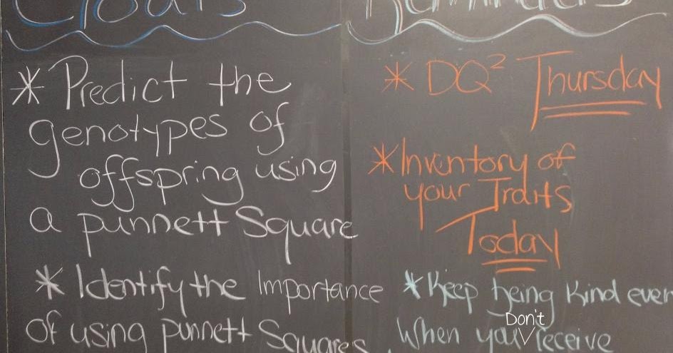 EC Honors Biology: Monday February 22nd - Punnett Square Intro