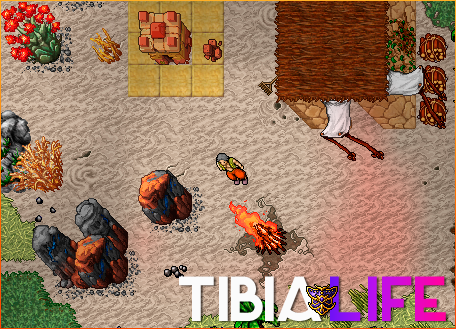 #SU19 Artigo do Mês/Teaser 2: Bem-vindos a Kilmaresh - Tibia Life