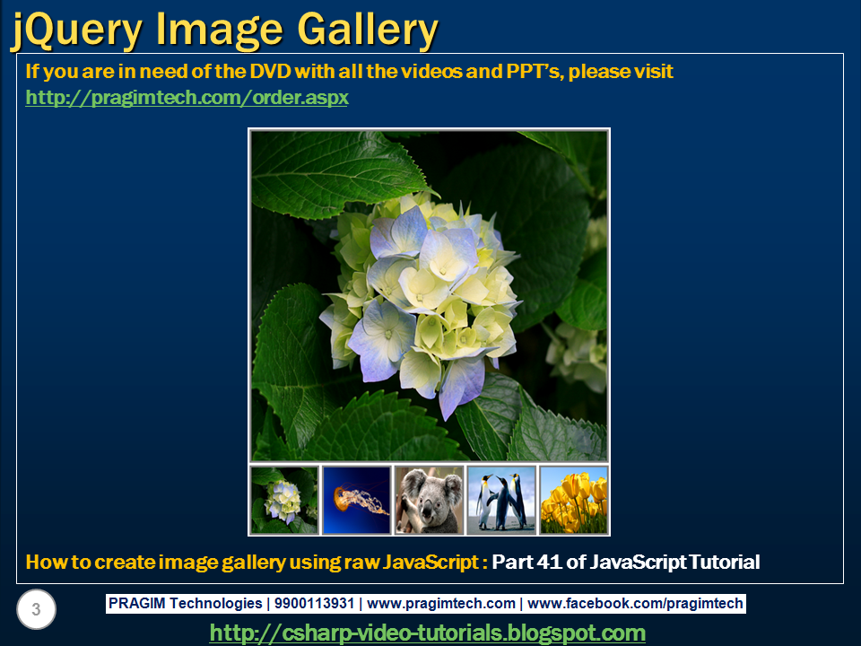 Sql server, .net and c# video tutorial: jQuery image gallery