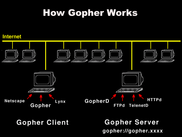 Gophers Sense Of Function And How Gopher Works