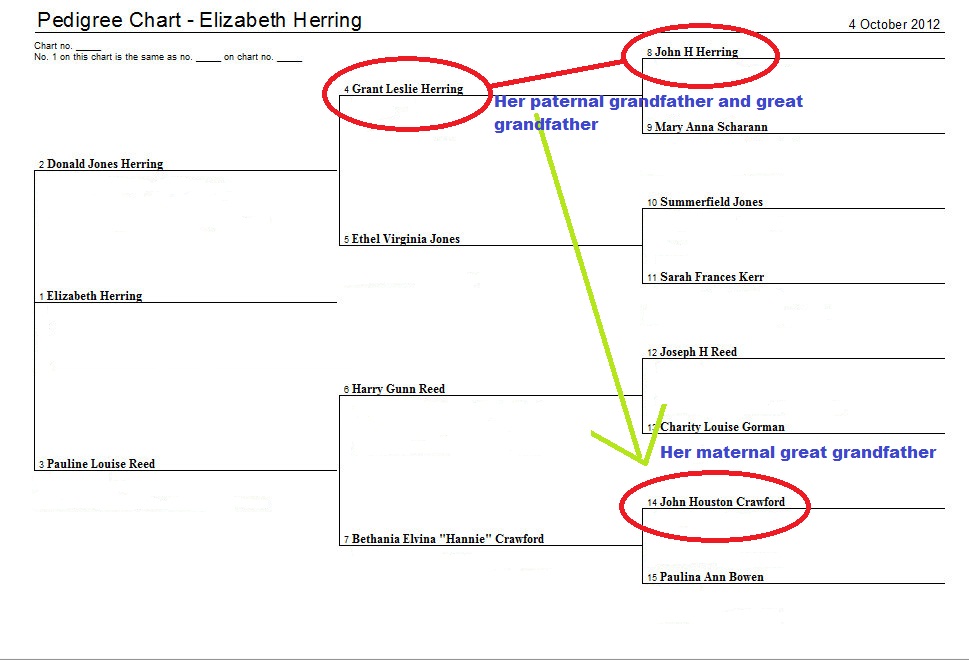 Thoughts from Polly's Granddaughter: Dissecting a Family Myth ...