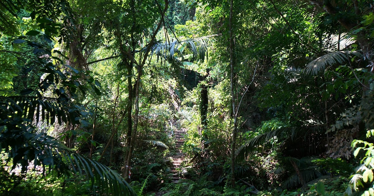 Malaisie - jour 12 : Tioman - Jungle trek vers Juara