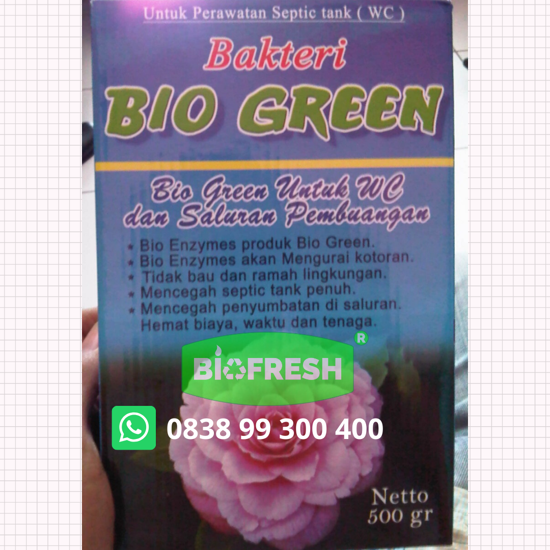 Bubuk Bakteri Bio Enzymes - Bio Green untuk WC/Kamar Mandi [500 gr ...