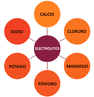 Importancia de los Electrolitos