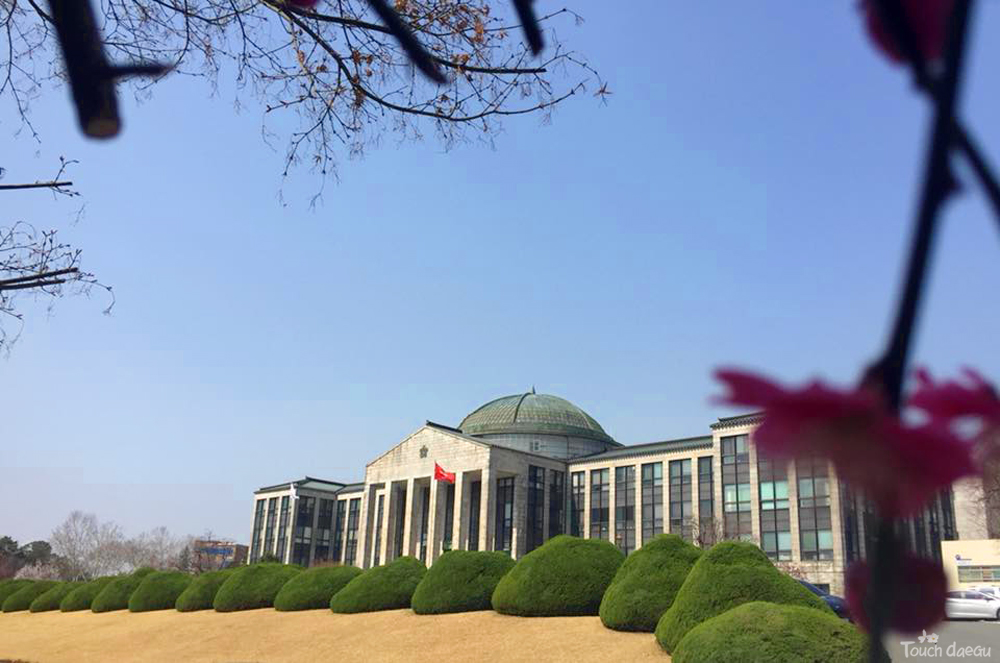 Spring Campus in Korea| Kyungpook University in Daegu (Enjoy Spring ...