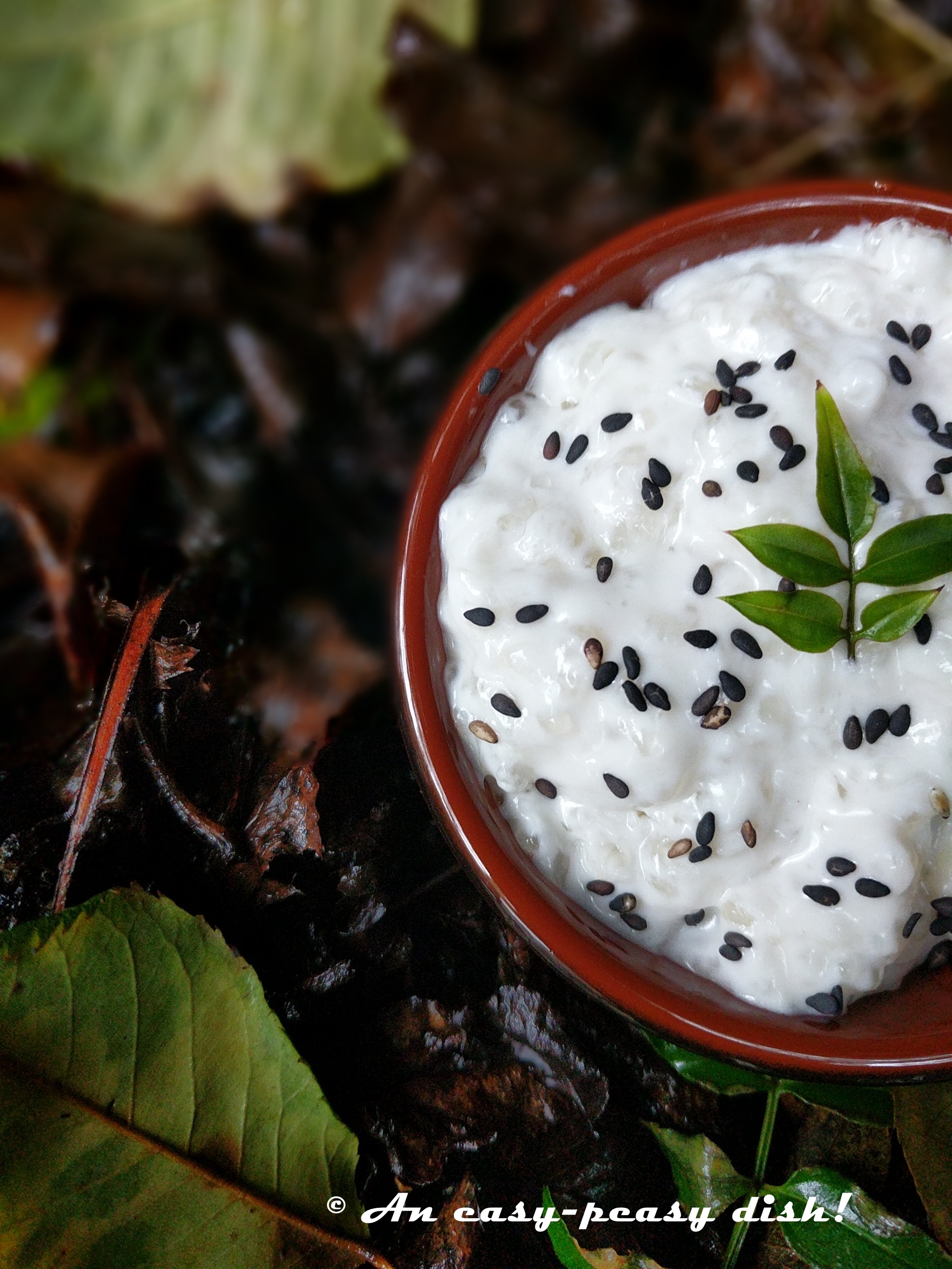 COCONUT TAPIOCA - Easy-peasy dish...