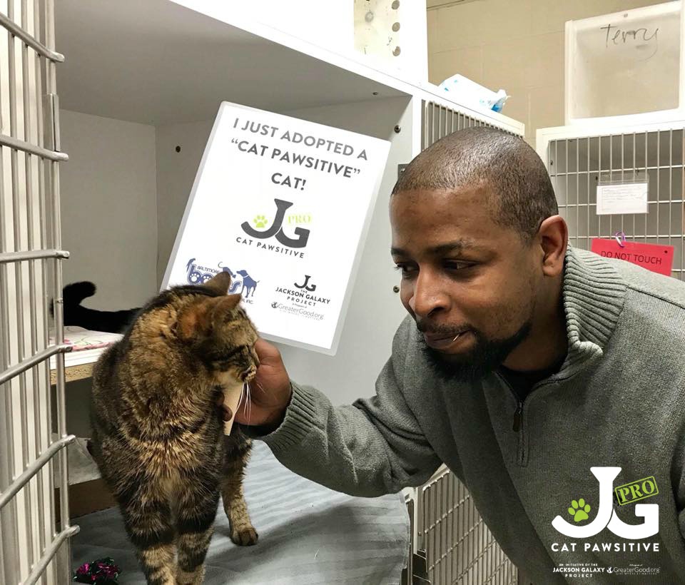 Cat Pawsitive Pro Program Helps Cats Get Adopted! | Lola The Rescued Cat