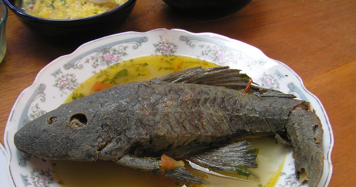 Comidas típicas Amazonía