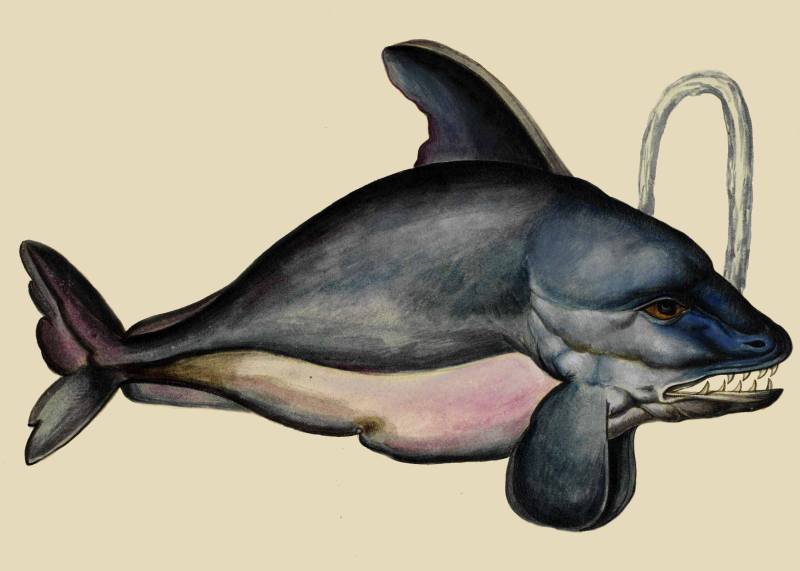 El Hurgador [Arte en la Red]: Recolección / Compilation (CLXIV-1 ...