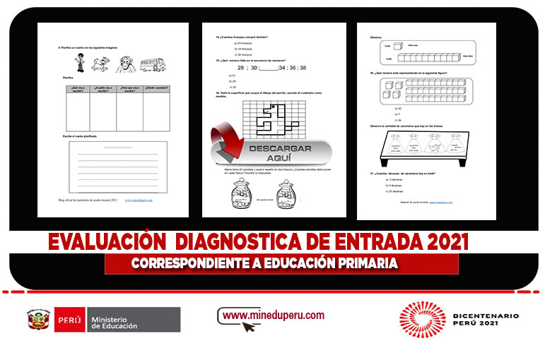 Evaluación diagnostica de entrada | Educación Primaria | Ministerio de Educación ~ Ministerio de ...