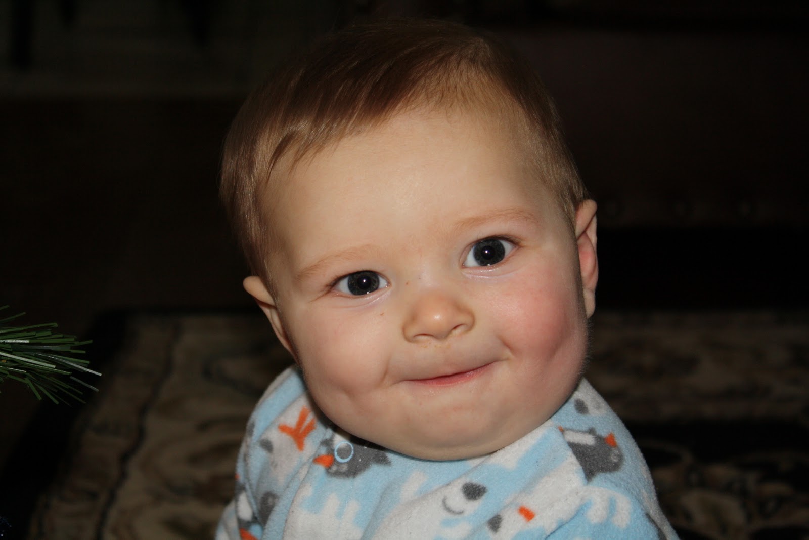 Bubba and Nellie: The cutest boy in the world...