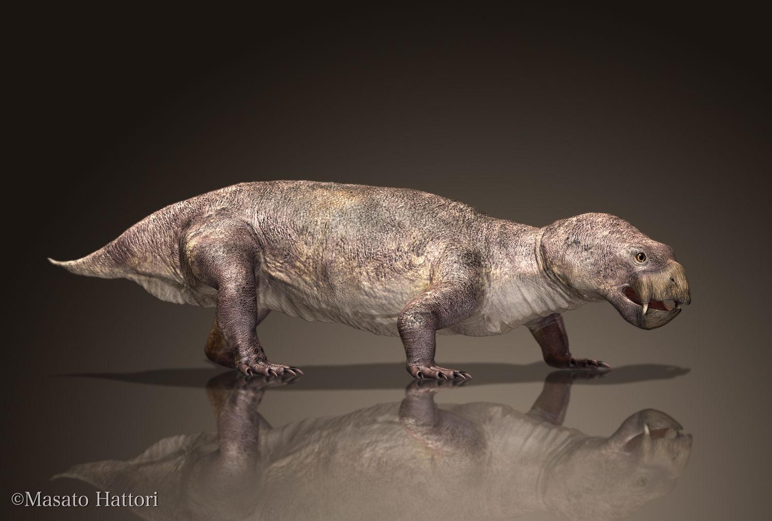 Bloguero chileno: Galería de imágenes: Dicynodon