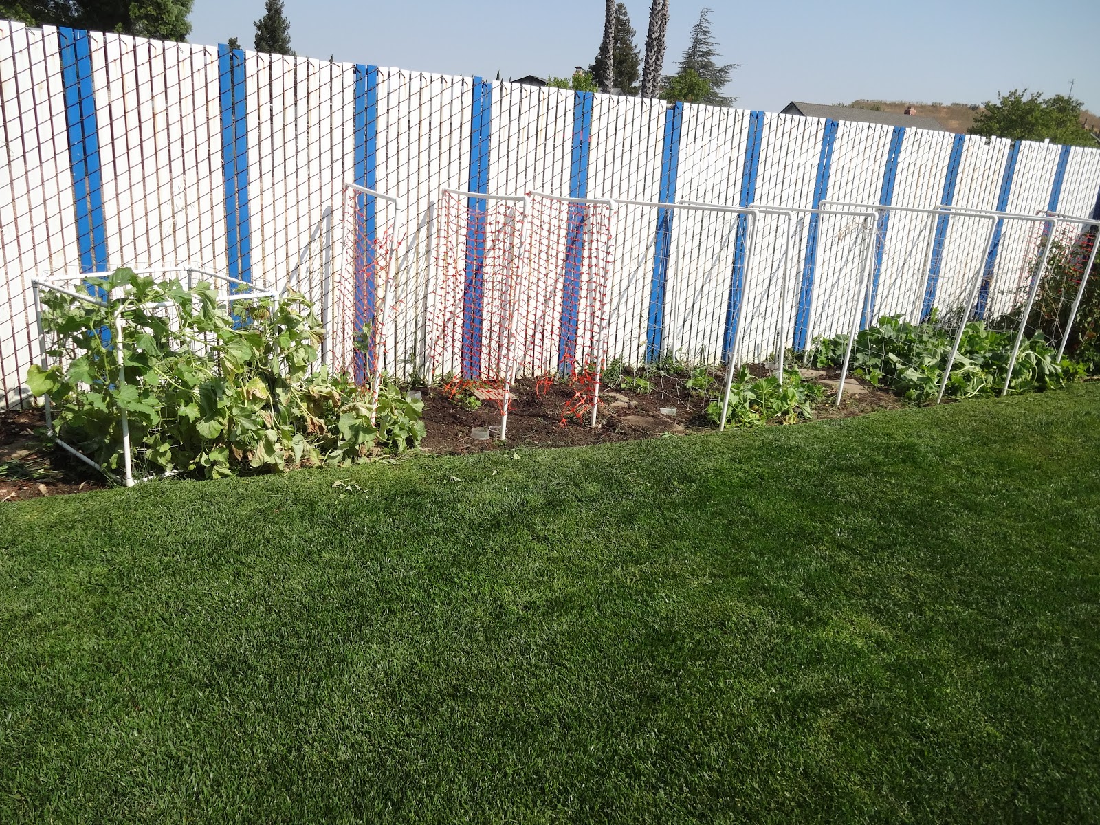 The Scientific Gardener: The Fertile Garden - 2018 Edition