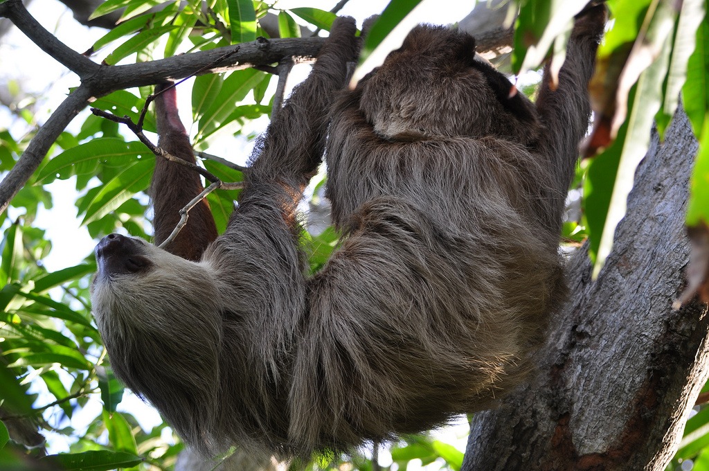 Monster High "Jane Boolittle" | The Toy Box Philosopher