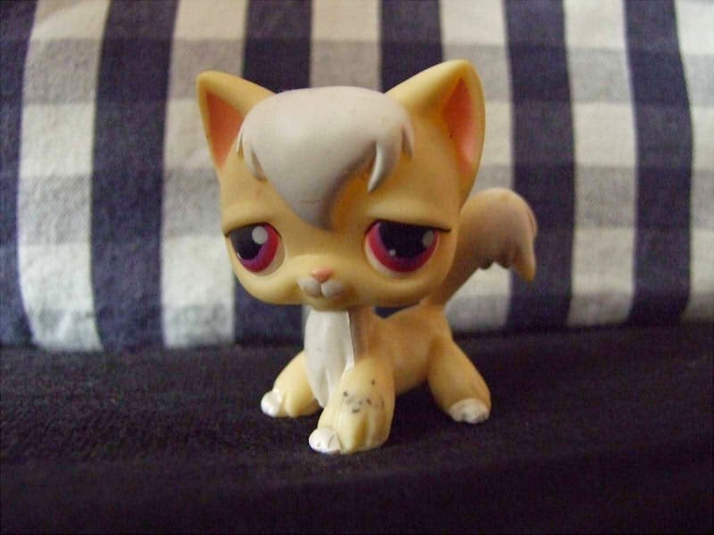 Centrum Littlest Pet Shop: 183. Top 15 ulubionych LPS
