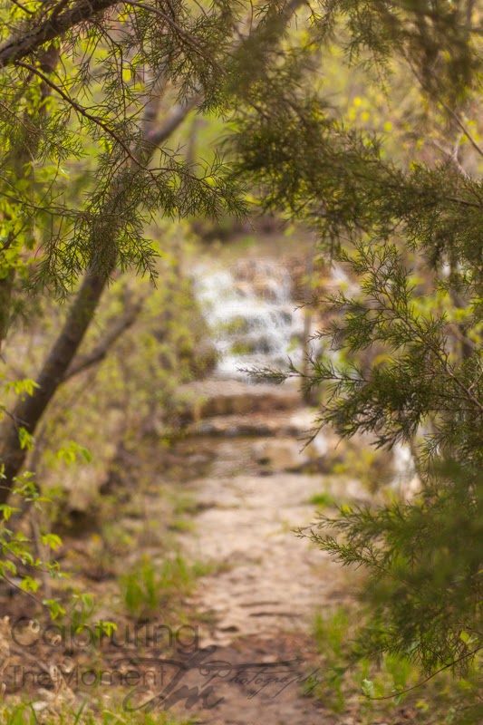 Capturing The Moment Photography: Spectacular Waterfall in Junction ...
