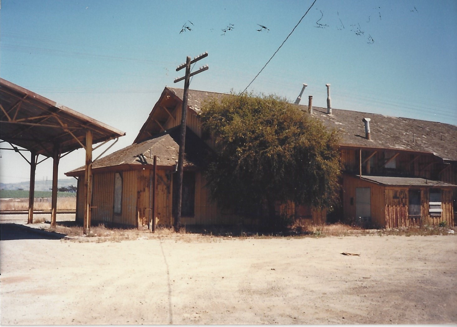 Santa Cruz Trains: Railroads of the Monterey Bay: Castroville & Del ...